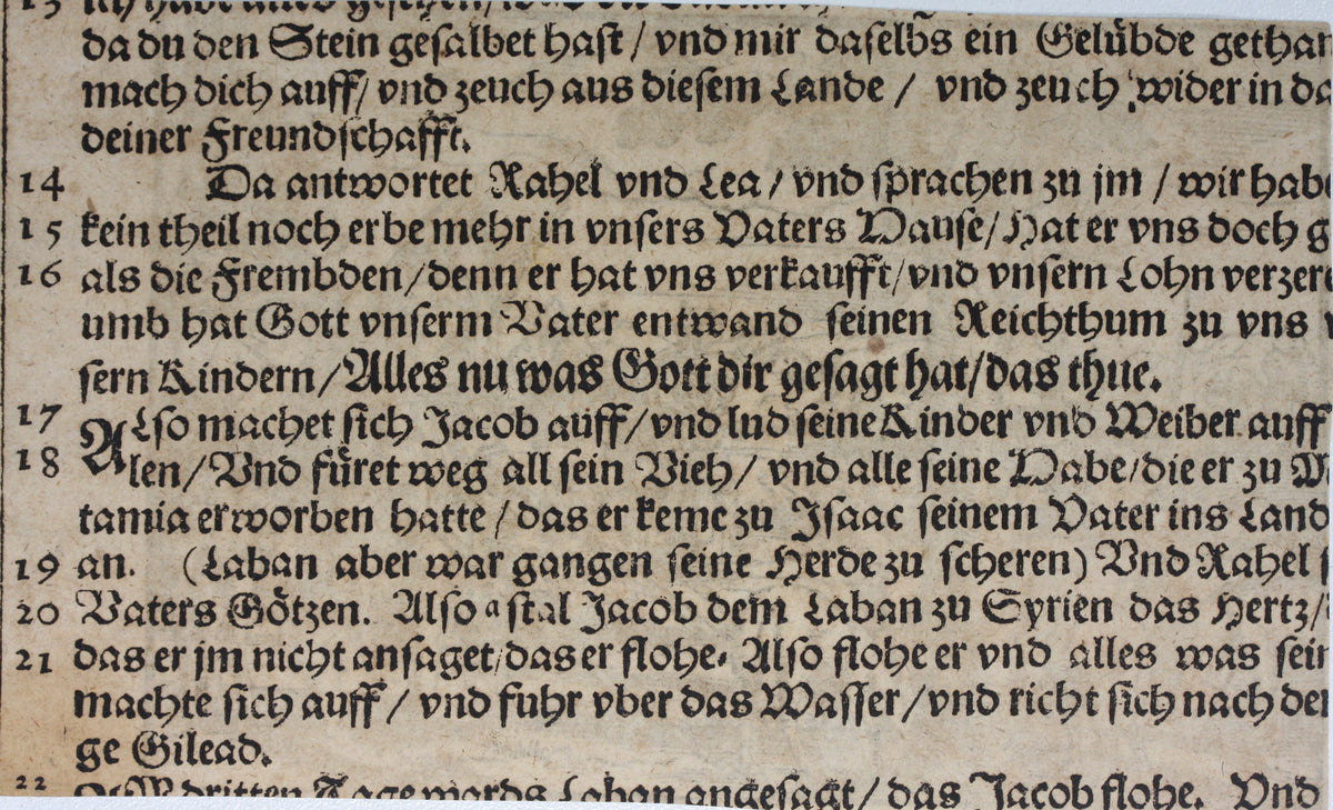 Virgil Solis, after. Jacob’s Flock Prospers. Woodcut from Bible transl ...