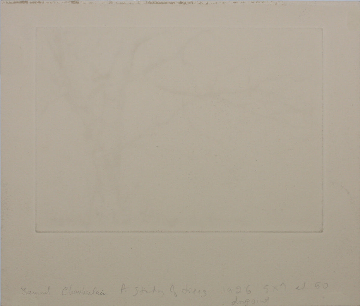 Samuel V. Chamberlain. A Study of trees. Drypoint. 1926. – Goldin Fine Art