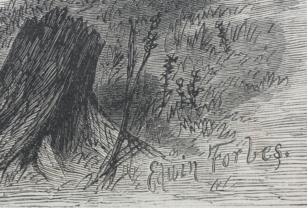 Edwin Austin Forbes, after. Cotton team in North Carolina. Wood engrav ...