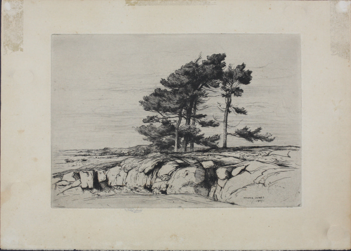 Walter John James, 3rd Baron Northbourne. Landscape. Etching. 1907 ...